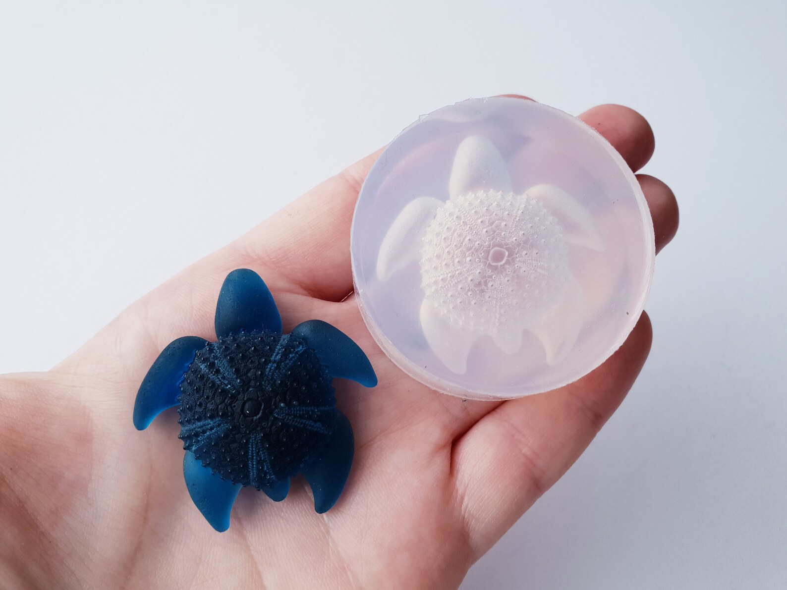 41 X 39 Mm Urchin Shell Turtle Silicone Mould for Resin - Etsy UK
