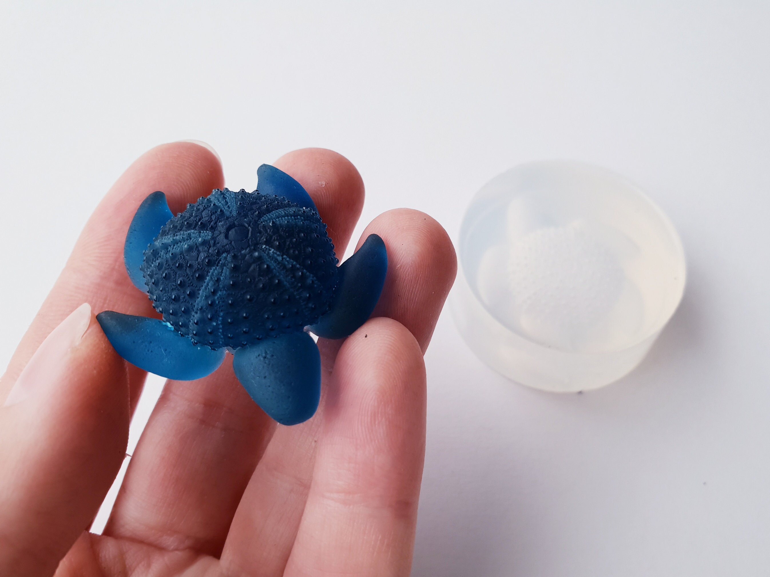 41 X 39 Mm Urchin Shell Turtle Silicone Mould for Resin | Etsy
