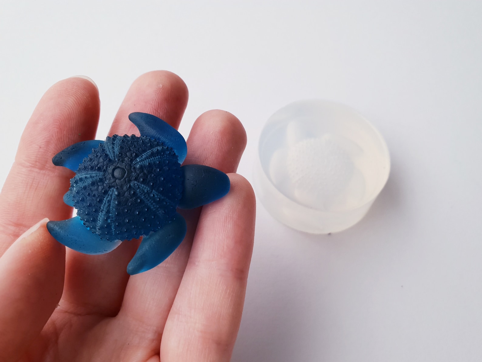 41 X 39 Mm Urchin Shell Turtle Silicone Mould for Resin - Etsy UK