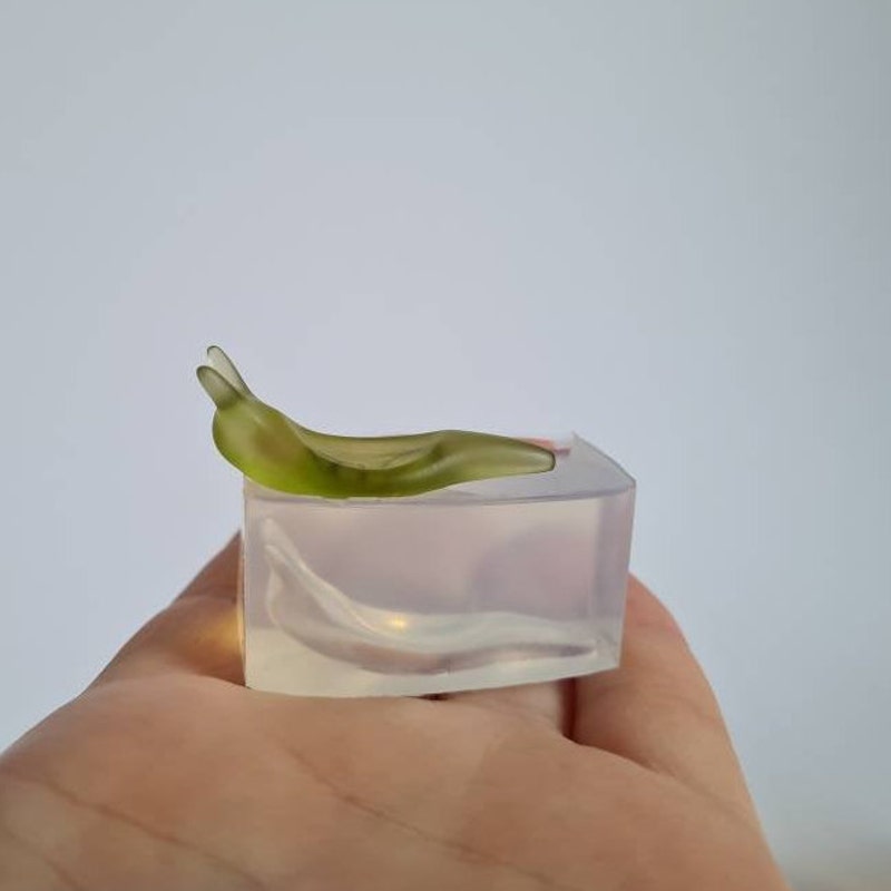 Snail Bodies - Etsy UK