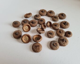 Acorn Caps | Etsy