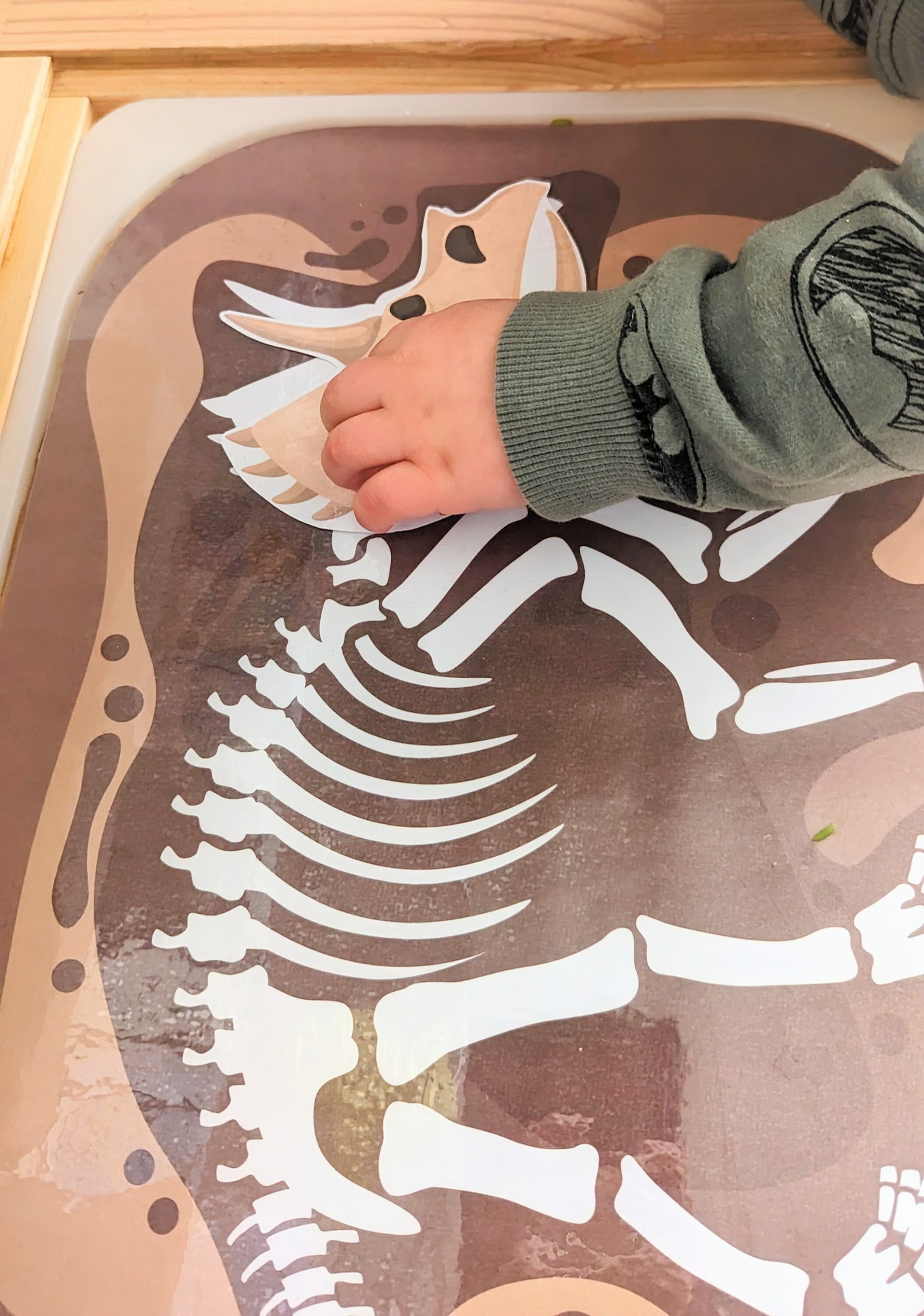 Flisat Table Insert Dinosaur Fossil Dig Game: Printable Insert for ...