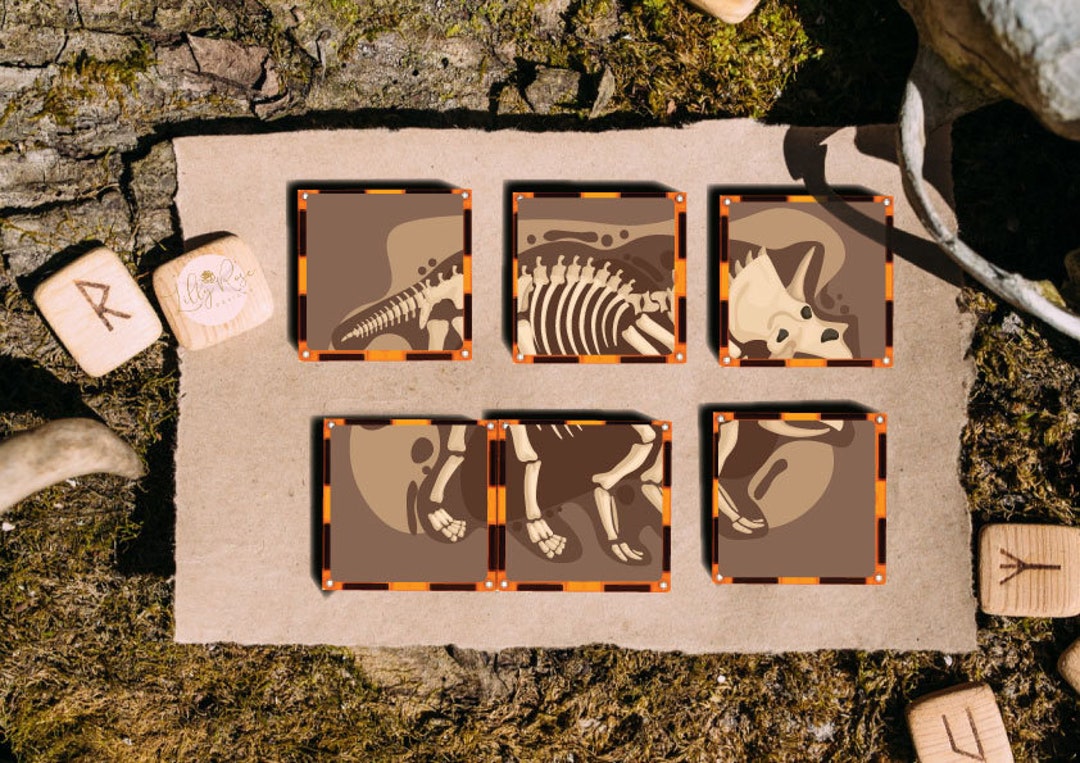 Magnatile Toppers Dinosaur Fossil Dig Kindergarten Pre-k Classroom ...