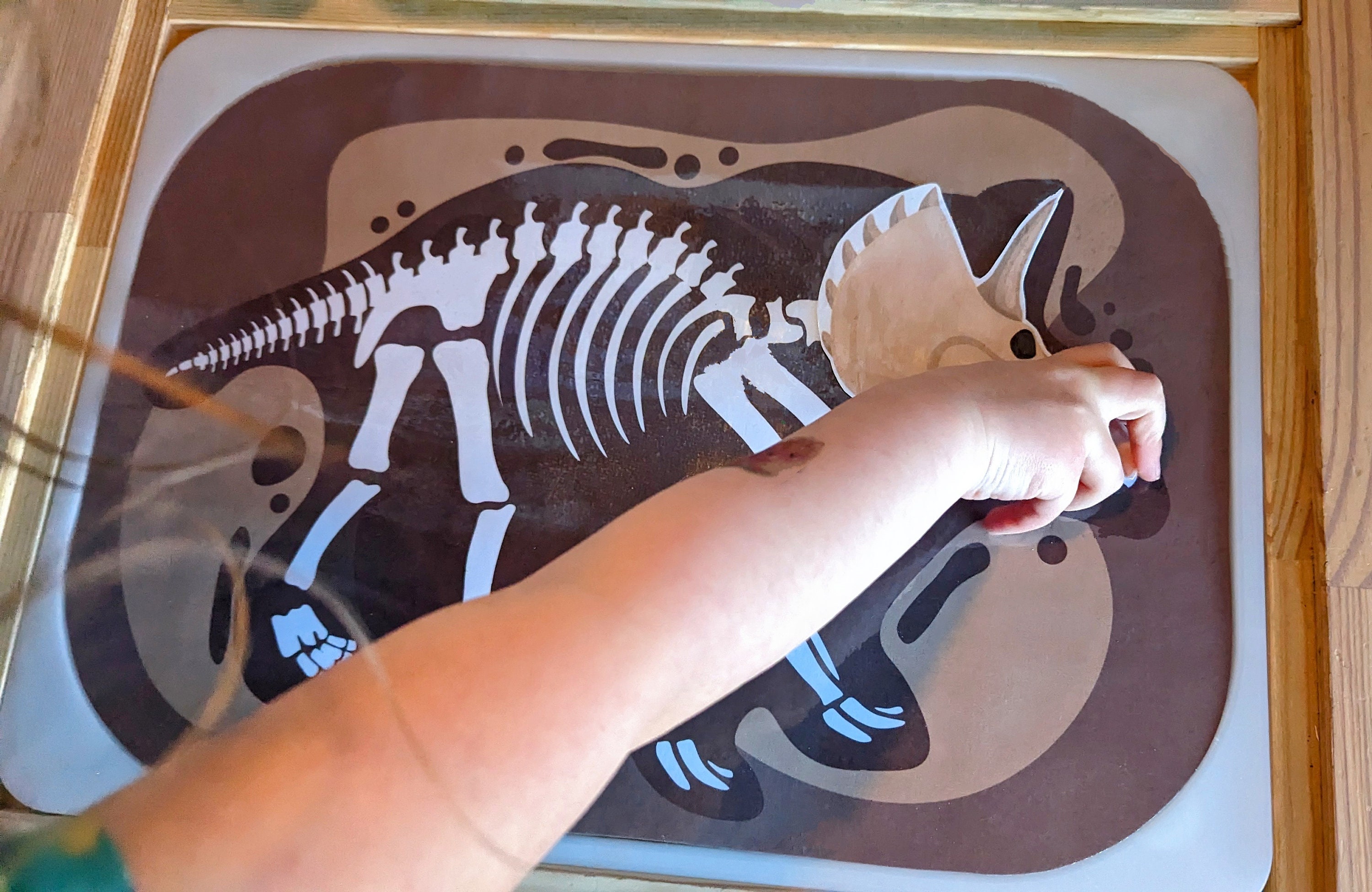 Flisat Table Insert Dinosaur Fossil Dig Game: Printable Insert for ...