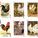 Chicken Playing Card Deck, 55 Unique Vintage Illustrations - Etsy