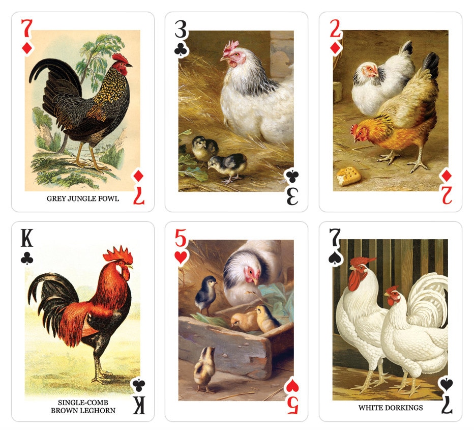 Chicken Playing Card Deck, 55 Unique Vintage Illustrations - Etsy