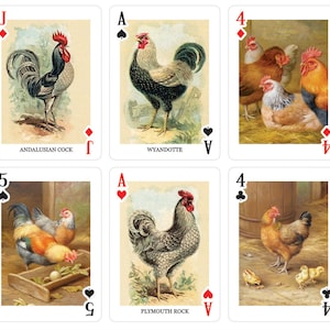Chicken Playing Card Deck, 55 Unique Vintage Illustrations - Etsy