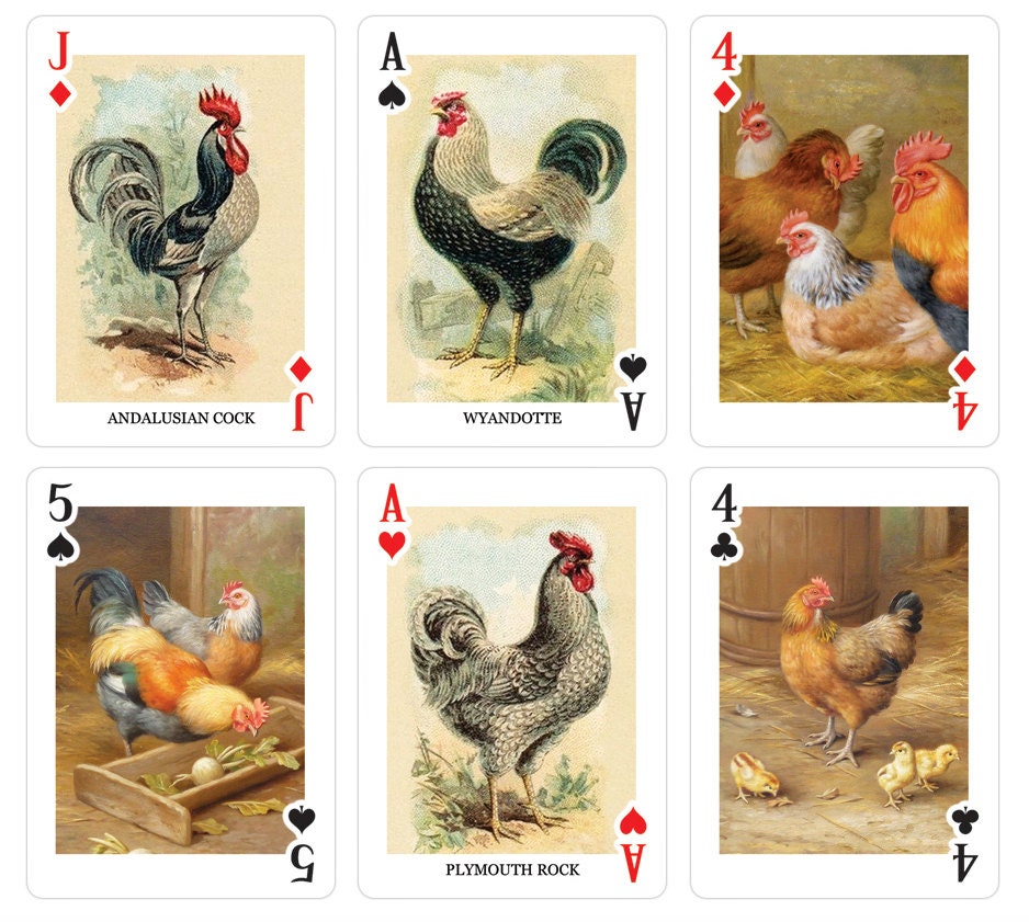 Chicken Playing Card Deck, 55 Unique Vintage Illustrations - Etsy