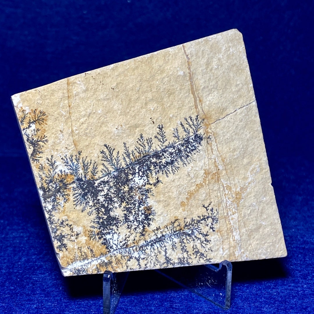 2.5”(W), 50.1g, Genuine Dendrite Crystal in Sandstone Plate / Slab ...