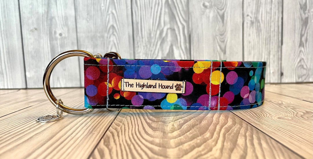 Fishtail Martingale Dog Collar 2" Disco - Etsy