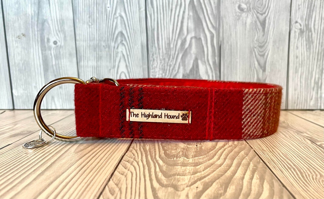Fishtail Martingale Dog Collar 1.5” Glencoe - Etsy
