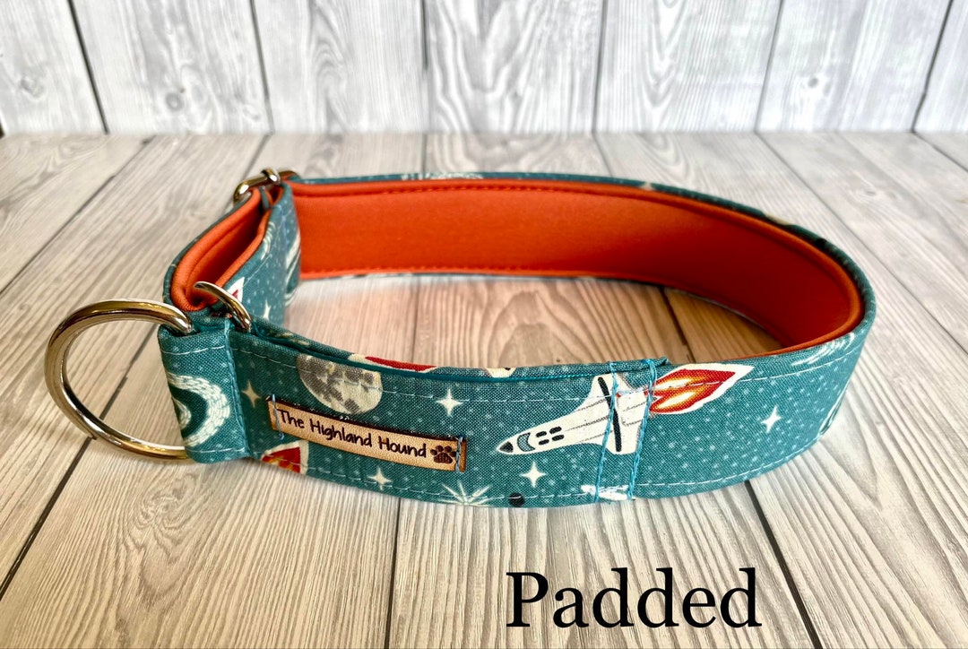 Neoprene Padded Fishtail Martingale Dog Collar Rocket - Etsy