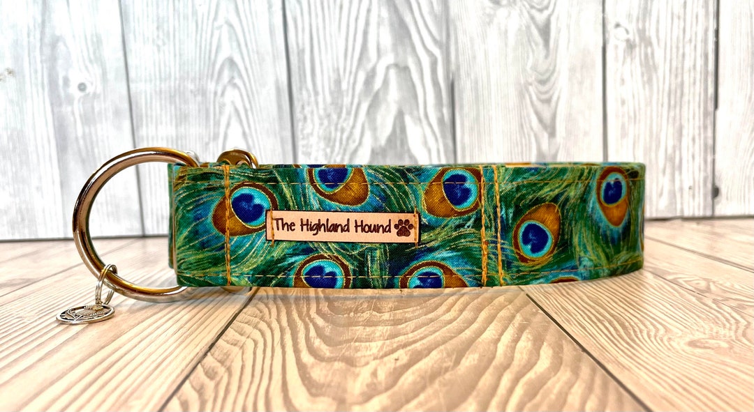 Fishtail Martingale Dog Collar 2 Golden Peacock - Etsy