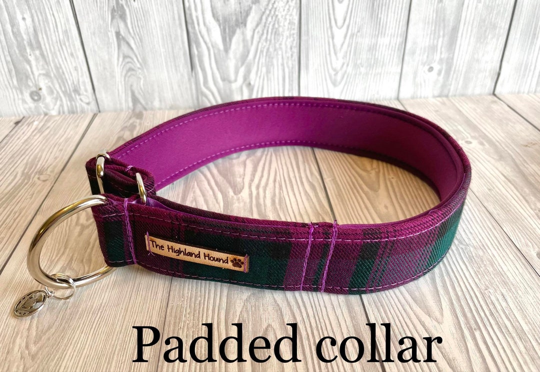 Neoprene Padded Fishtail Martingale Dog Collar Damson - Etsy