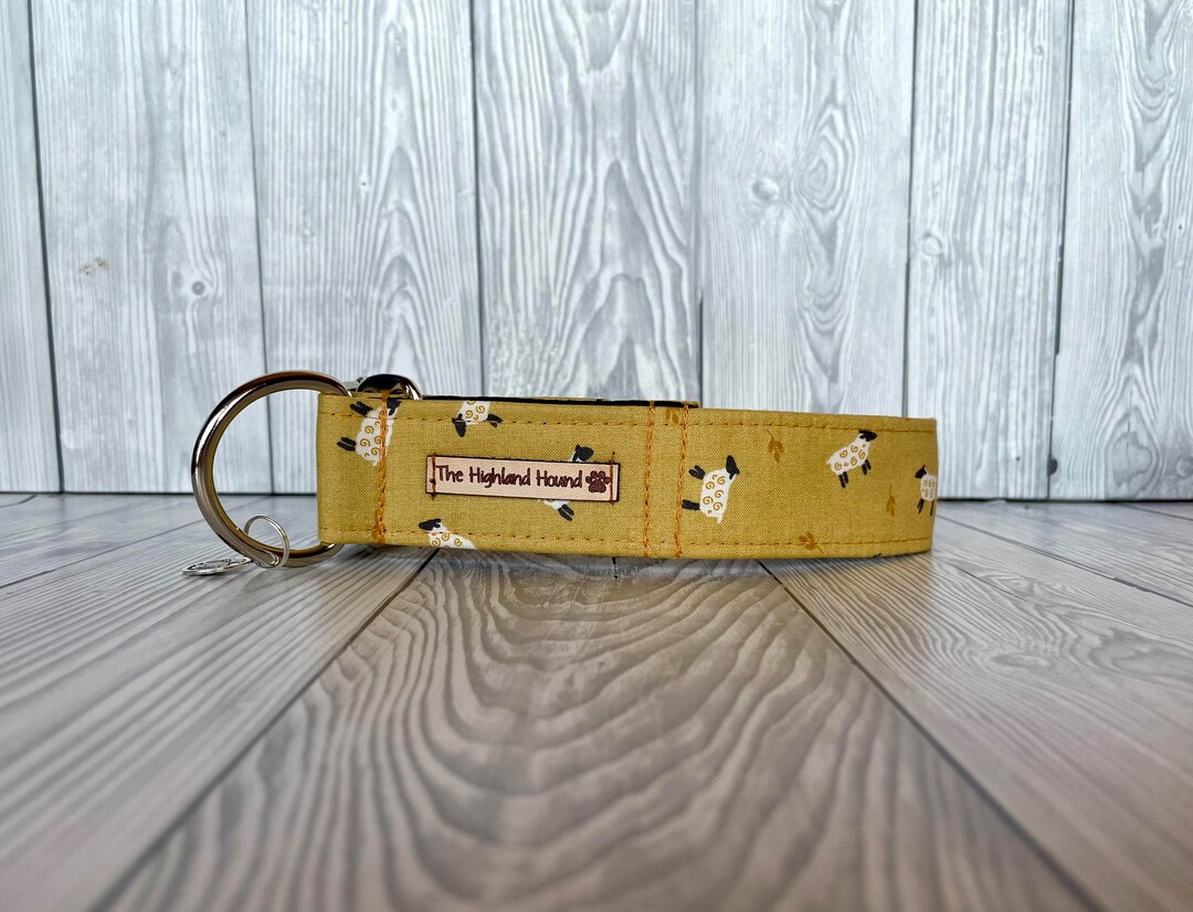 Fishtail Martingale Dog Collar 2" Ewe - Etsy
