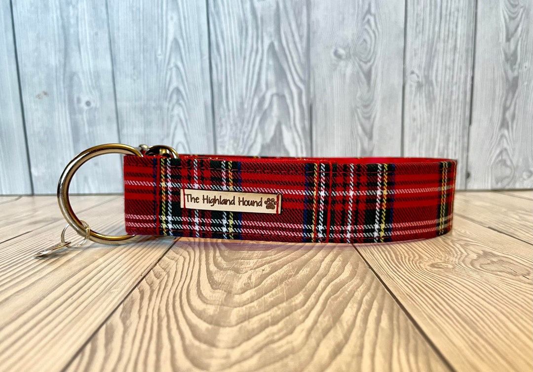 Fishtail Martingale Dog Collar 2" Royal Stewart - Etsy