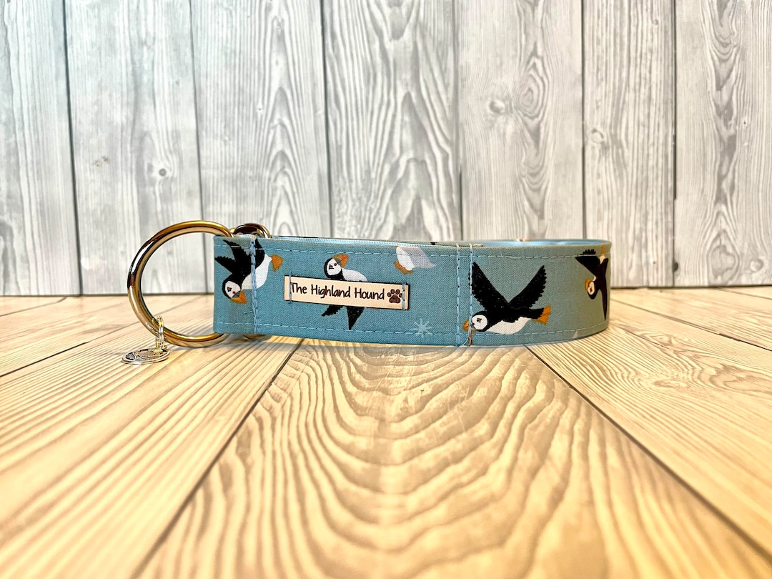 Fishtail Martingale Dog Collar 2" Puffin - Etsy UK