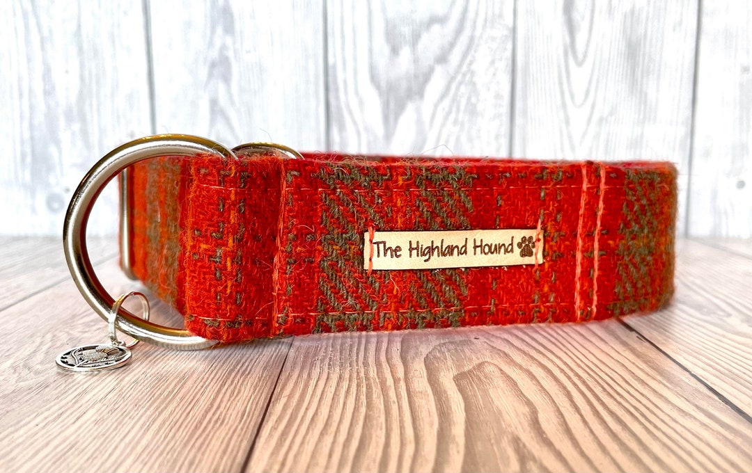 Harris Tweed Fishtail Martingale Collar 1.5” Autumn - Etsy