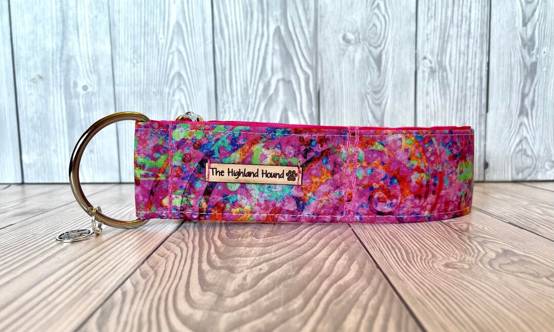Fishtail Martingale Dog Collar 1.5 Confetti - Etsy