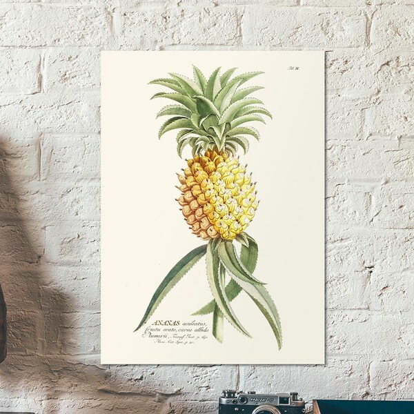 Ananas - Etsy