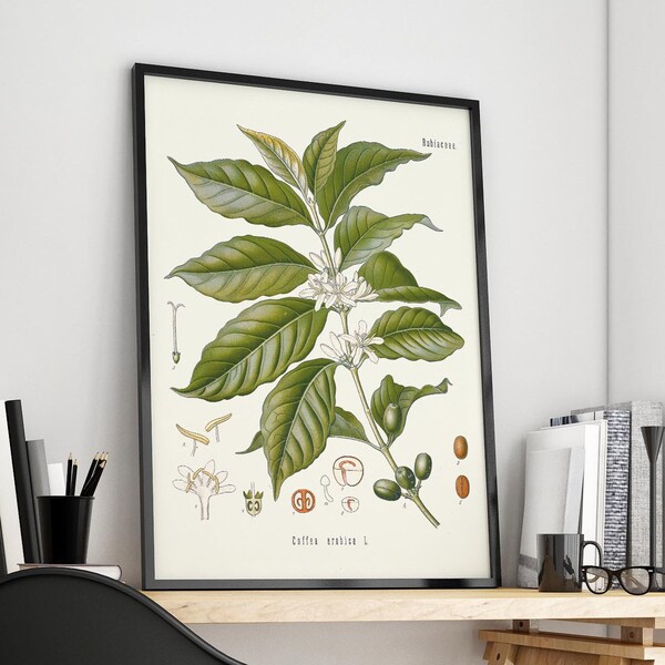 Vintage Arabica Poster - Etsy