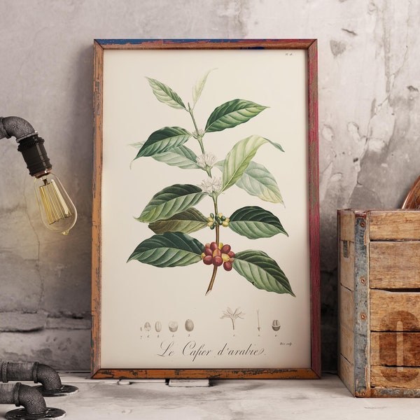 Coffee Poster - Etsy