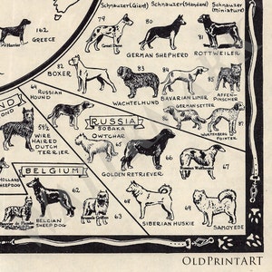 Vintage Educational and Pictorial Old Worldmap Showing the Dogs of All ...