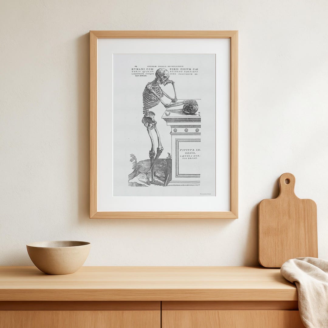 Vintage Anatomy Poster – Andreas Vesalius Leaning Skeleton Print - Etsy
