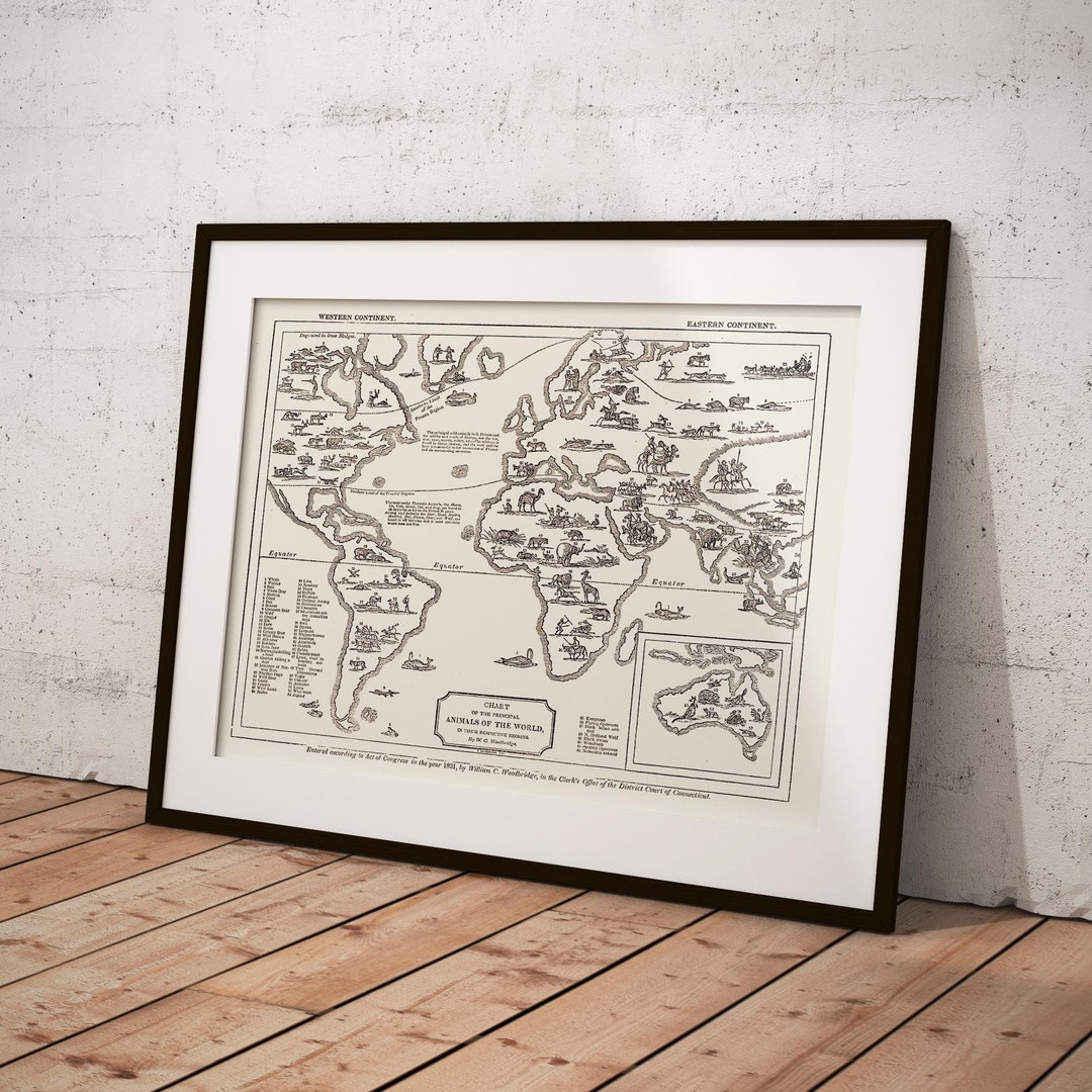 Vintage Educational and Pictorial Old Map Showing Animals of the World ...