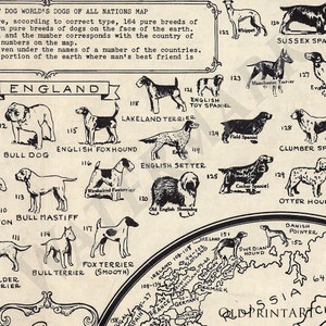 Vintage Educational and Pictorial Old Worldmap Showing the Dogs of All ...