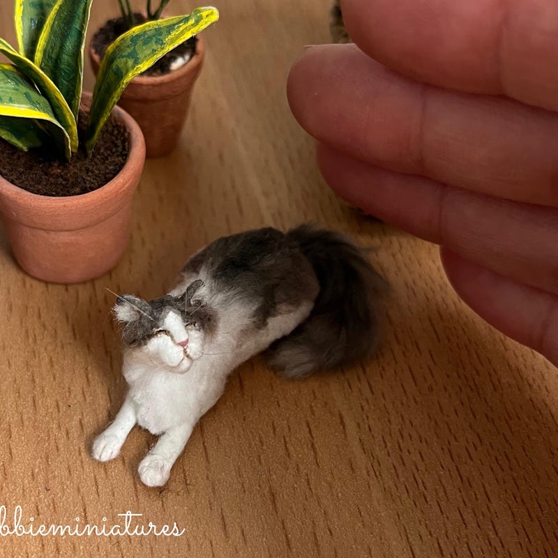 Miniature Cats - Etsy