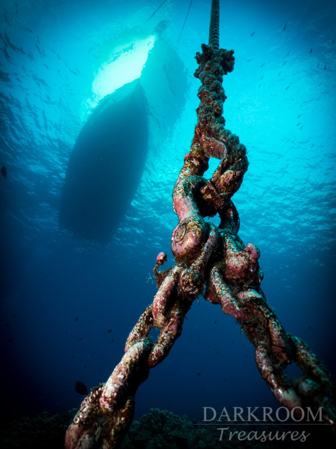 Ocean Boat Anchor Chain Coral Hawaiian Underwater - Etsy