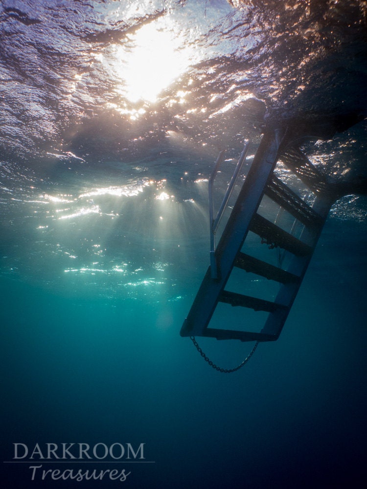 Ocean Dive Boat Sunburst Swim Step Ladder Great Barrier Reef Underwater ...