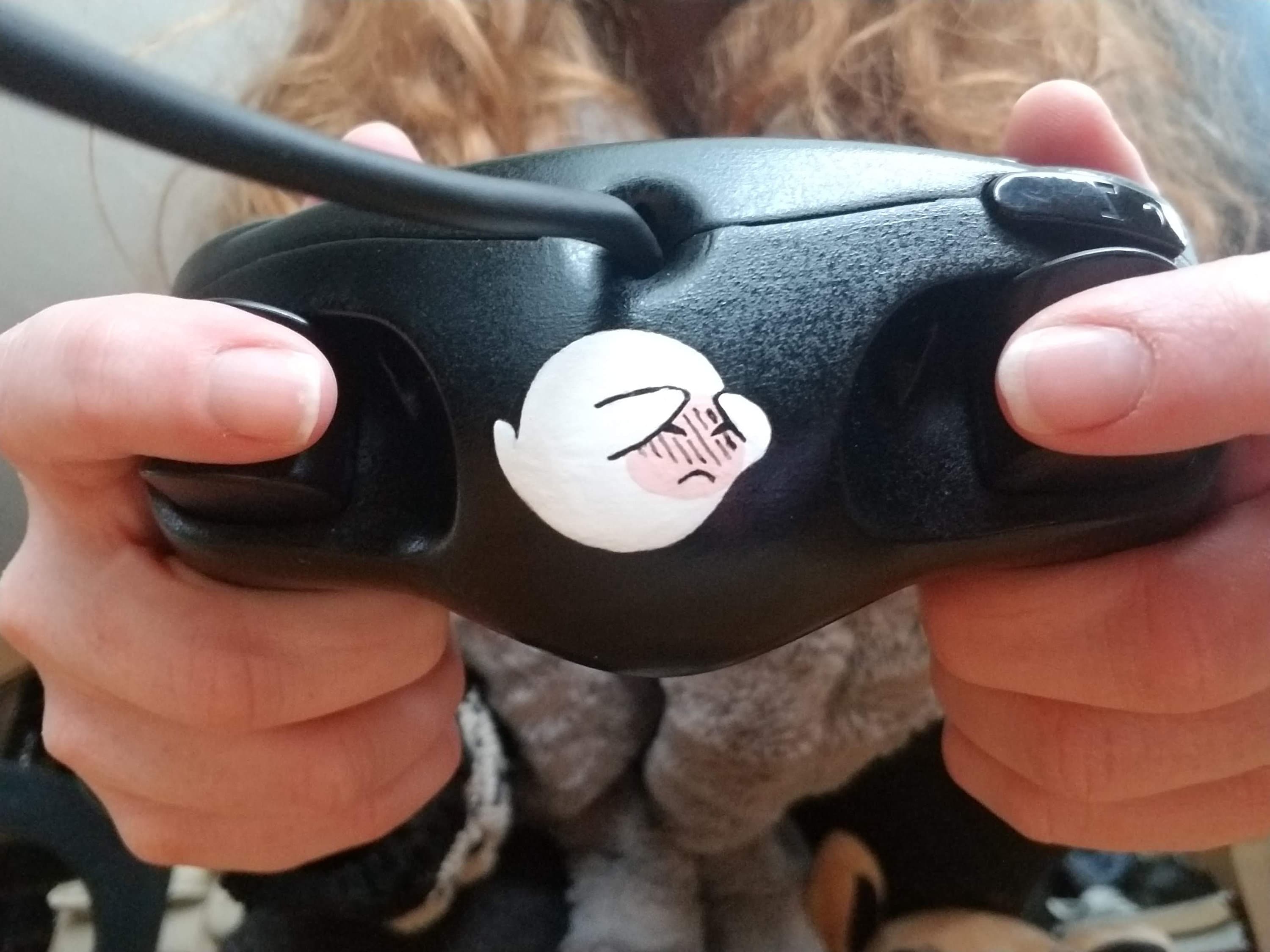 Custom Hand-painted Gamecube Controllers - Etsy