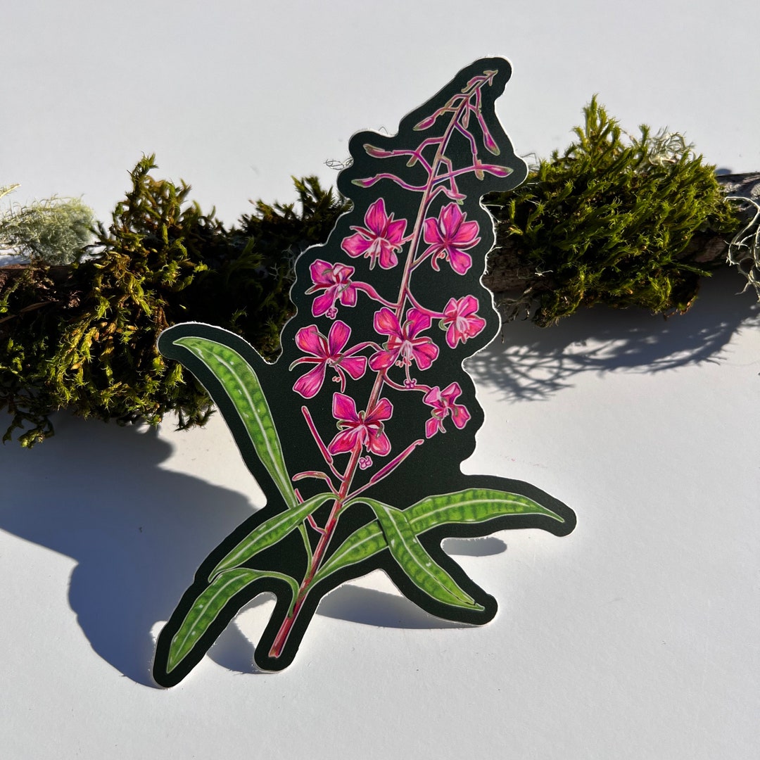 Fireweed | Vinyl Sticker - Etsy