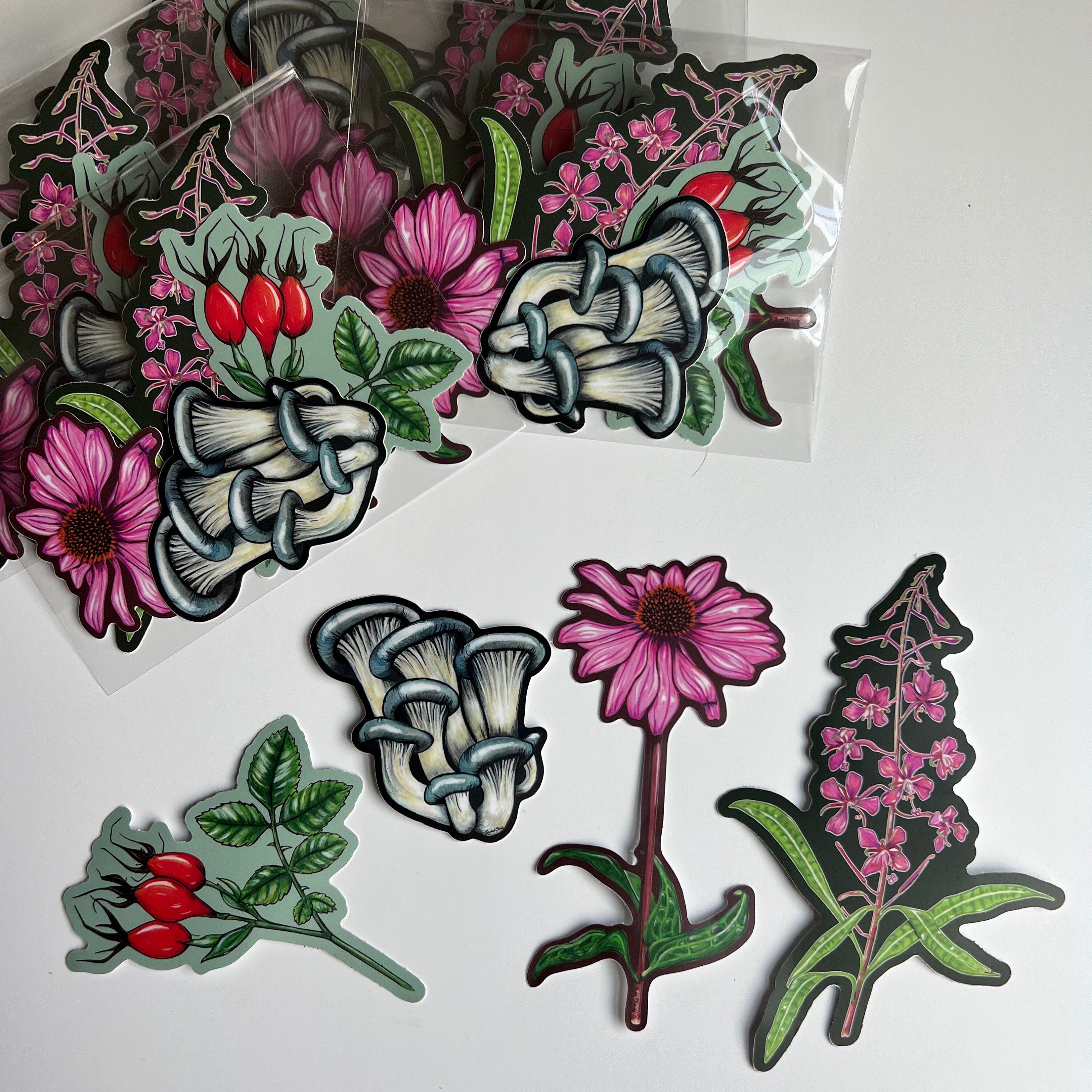 Herbal Vinyl Sticker Pack - Etsy