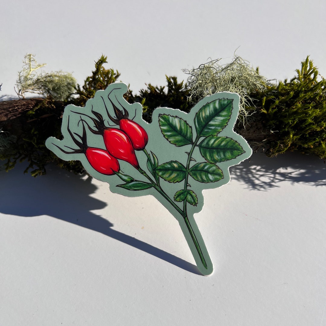 Rose Hip | Vinyl Sticker - Etsy
