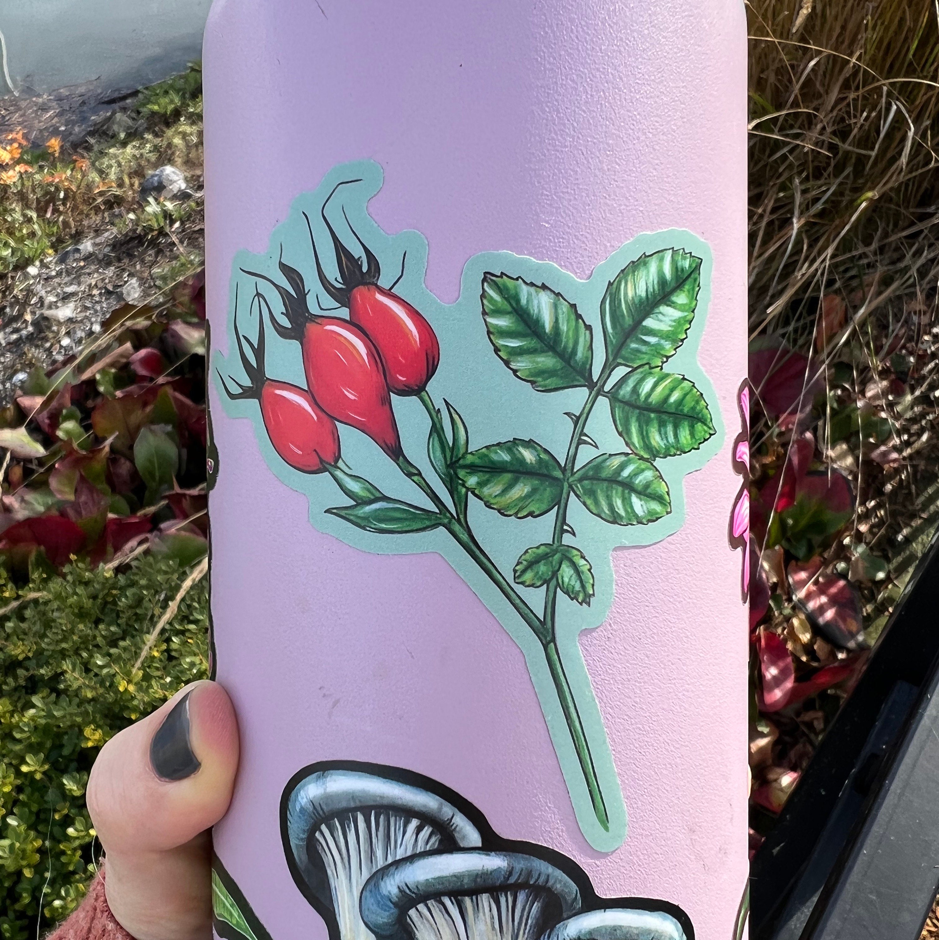 Rose Hip Vinyl Sticker - Etsy