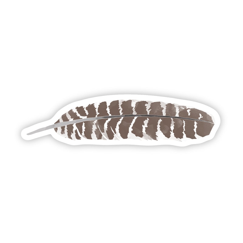 Wild Turkey Feathers - Etsy