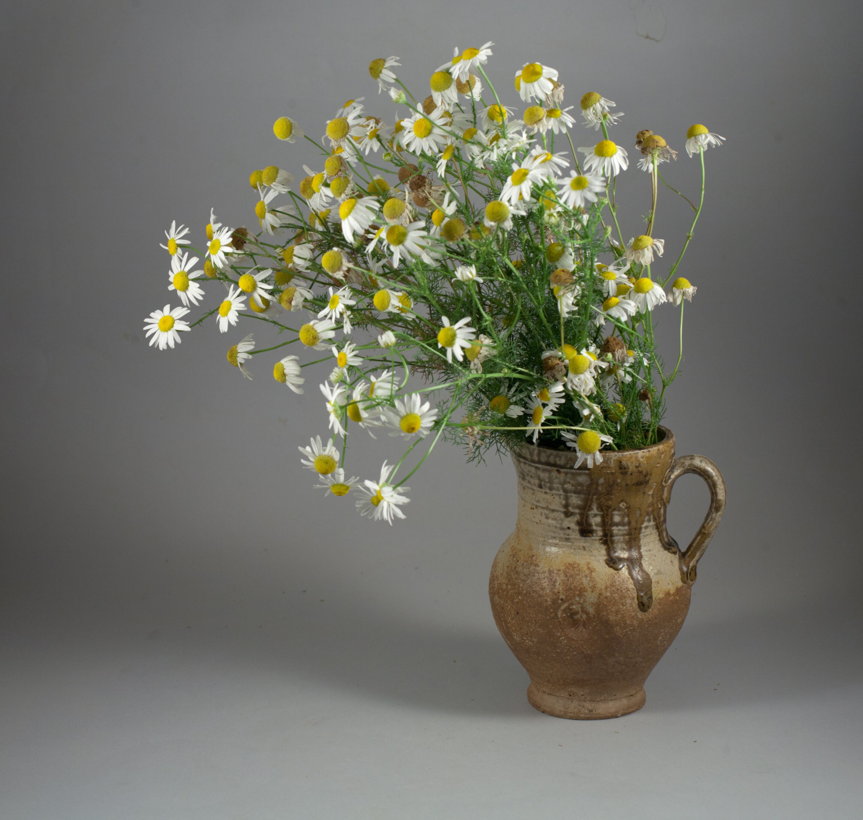 Small Jug, Pottery Pitcher, Woodfired Ash Glazed Ceramic Pitcher by ...