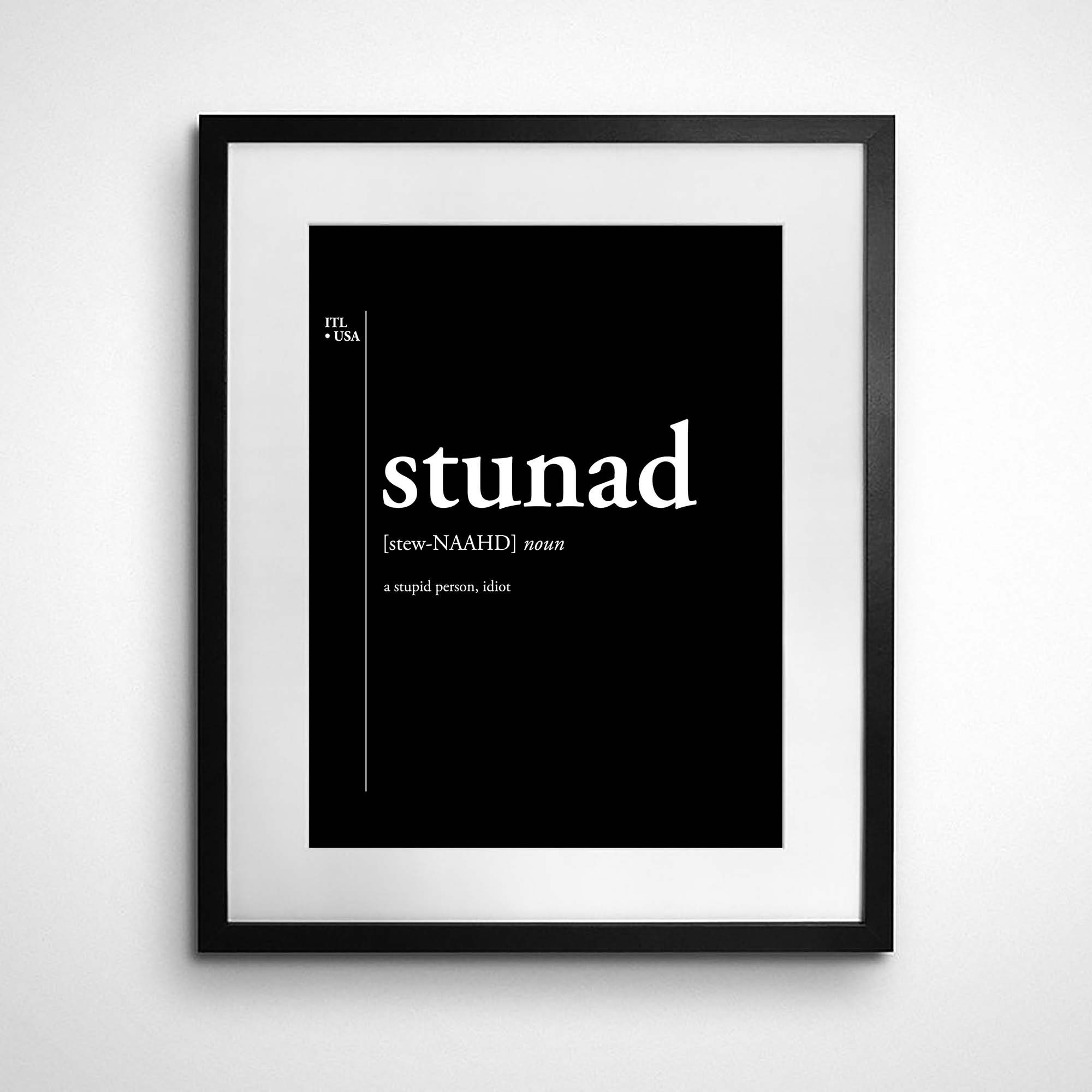 Stunad Definition, Italian Slang Funny Print, Funny Quotes, Dictionary ...