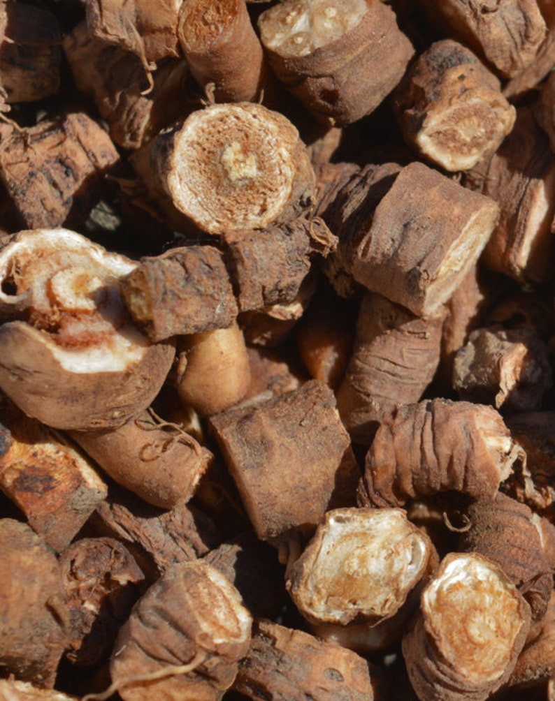 85 Gr. Dried Cut Yellow Dock Root Rumex Patientia Herbs Detox | Etsy