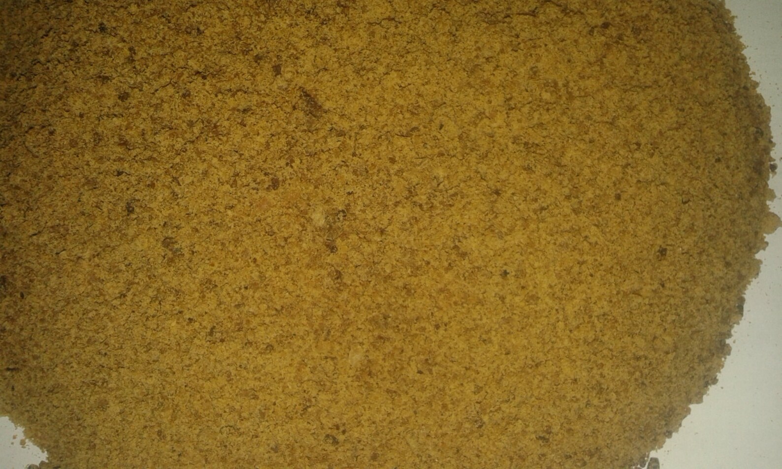 Acorn Flour 1 Lb./ 450 Gr. Oak Acorn Flour Oak Flour - Etsy