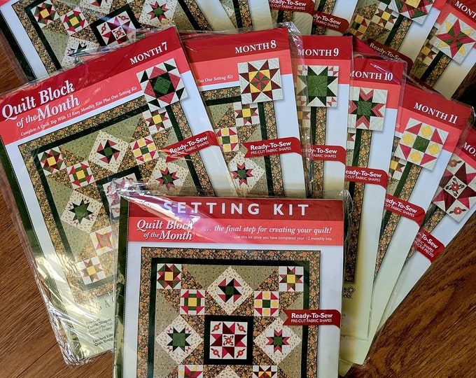 Joann Legacy Star Quilt Block of the Month Kit Complete With Fabric ...