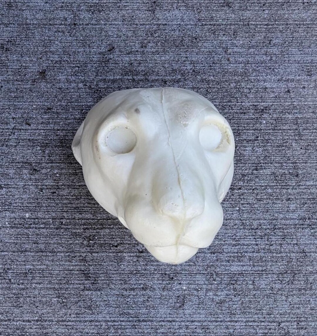Urethane Foam Cheetah Head for Taxidermy, Puppetry, Etc. - Etsy
