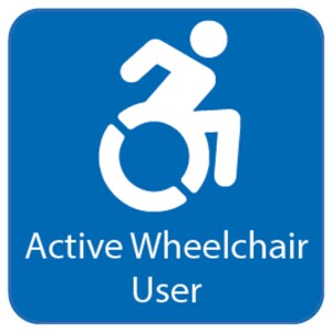 Disabled Car, Stickers Blue Badge Mobility Window Decal Vinyl Stickers ...