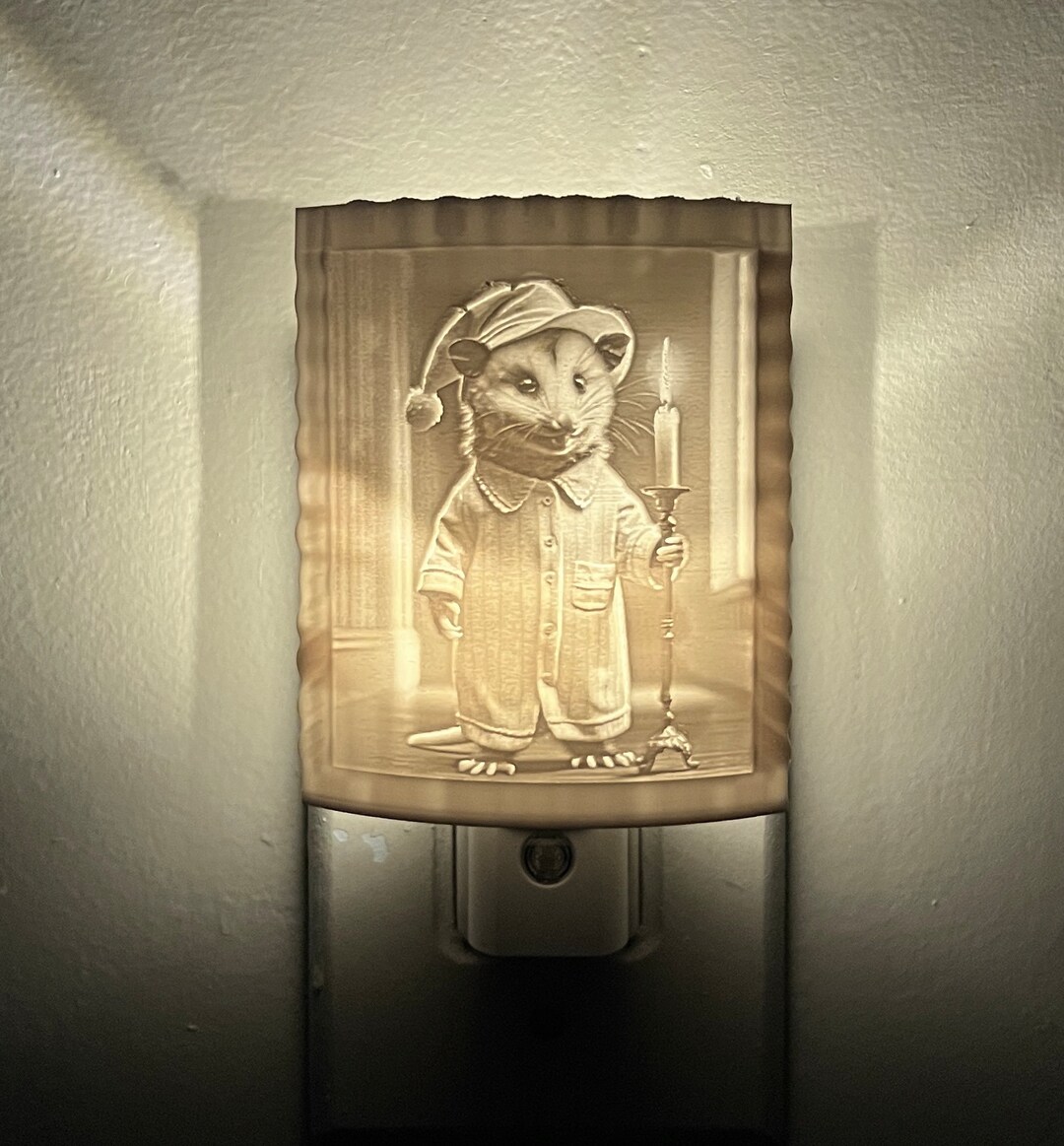 Charming Opossum Candle Nightlight, Opossum Nightlight, Possum ...