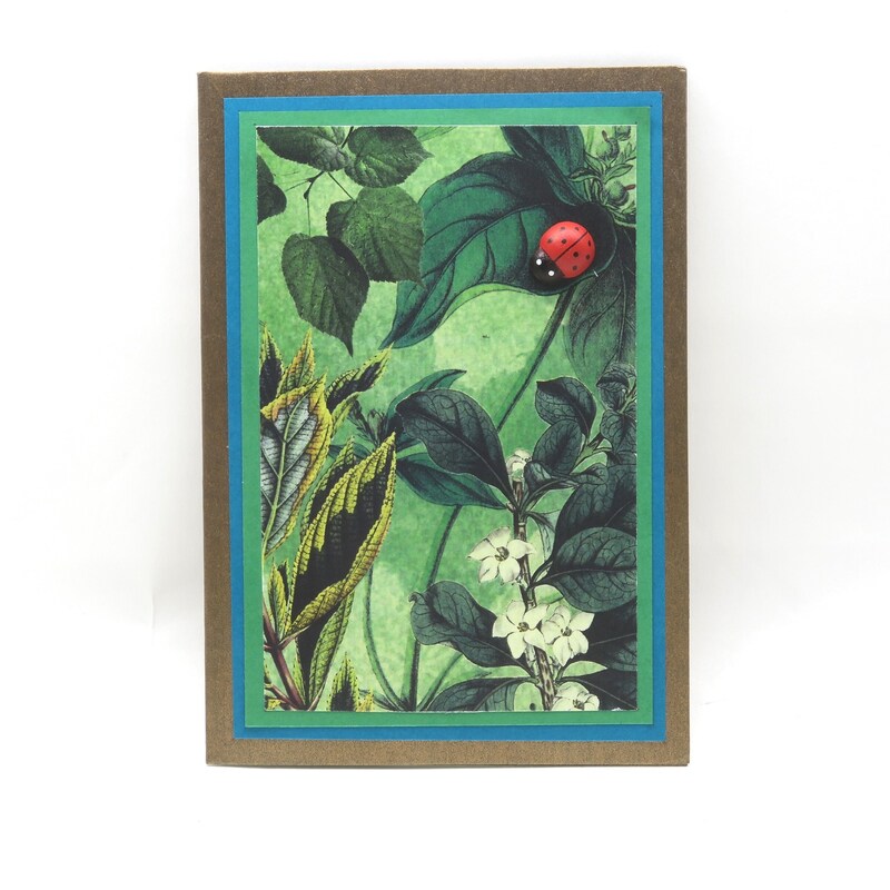 Bug Get Well Card - Etsy