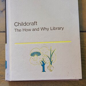 Vintage Childcraft: the How and Why Library Volume 6 1975 Edition - Etsy