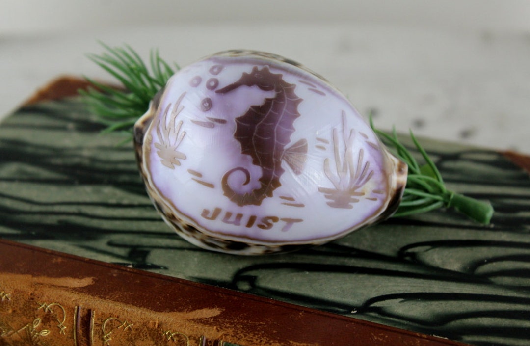 Tiger Shell Handmade Piece of Jewelry Shell - Etsy